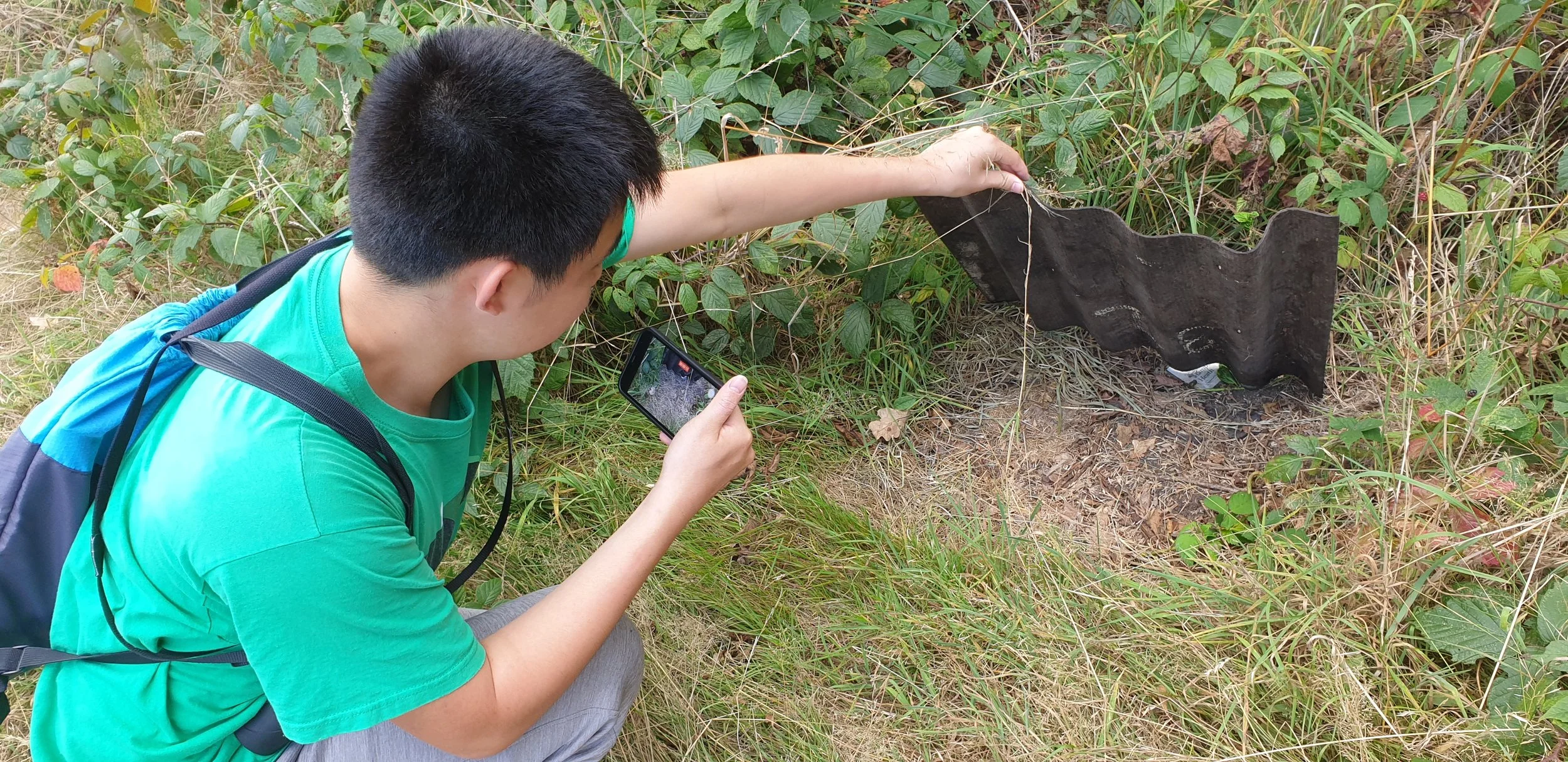 Wonderful Wildlife Monitoring — Hampstead Heath - Conservation ...