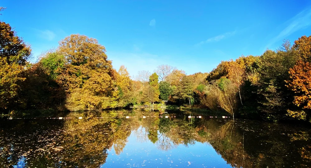 Hampstead Heath Ponds Landscaping — Hampstead Heath - Conservation, Community and Volunteering