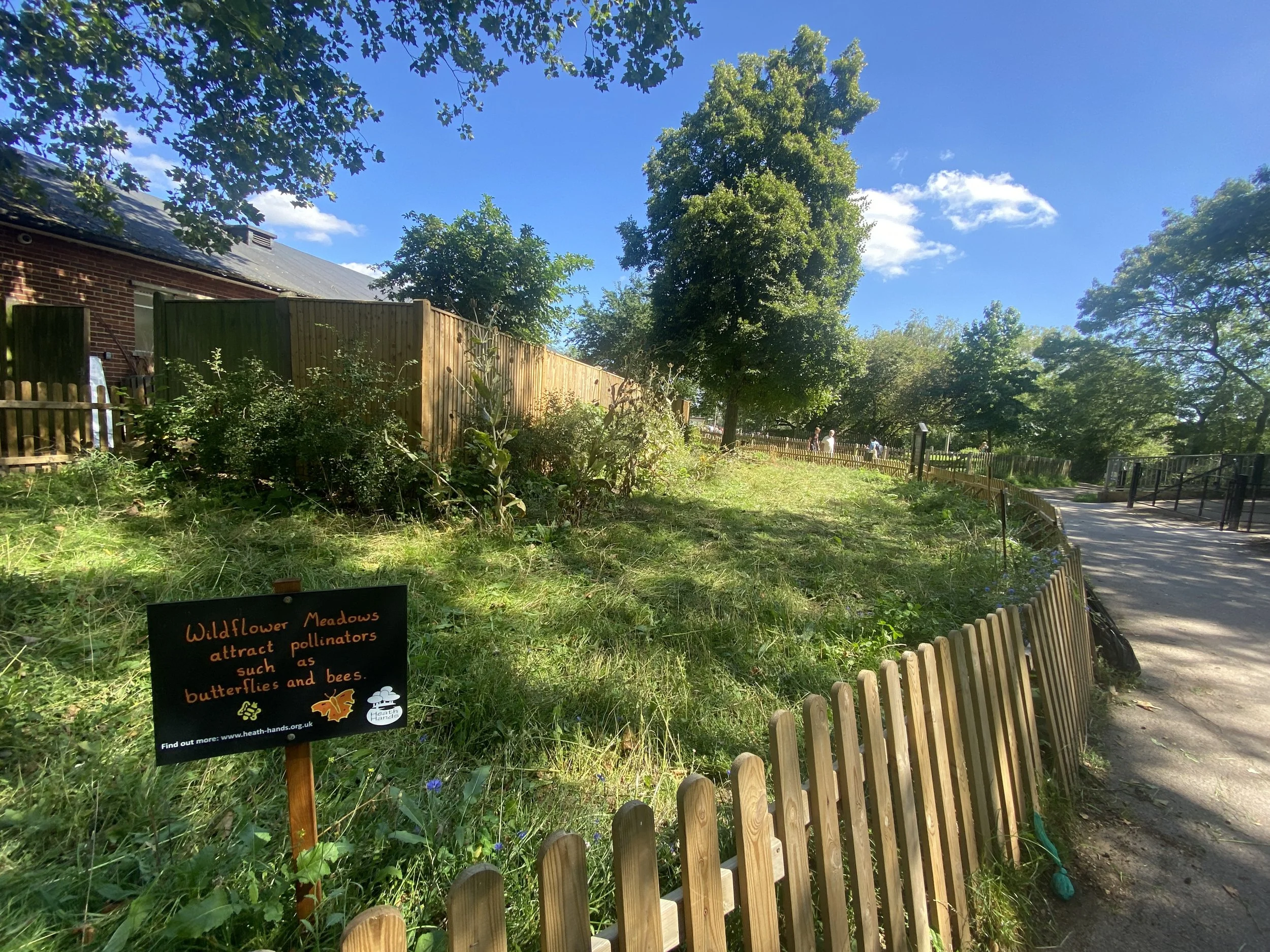 Conservation on Hampstead Heath | Heath Hands Conservation — Hampstead ...