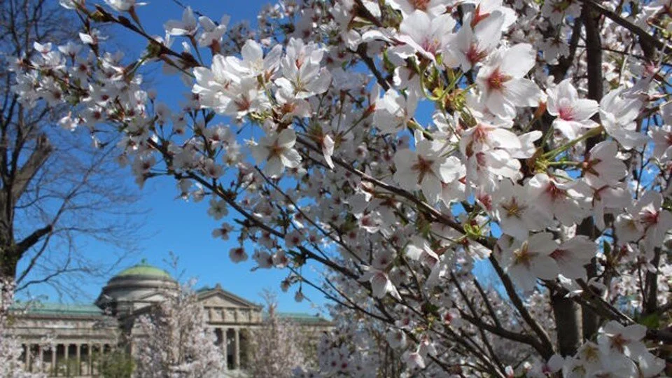 April 22, 2013 | One Man’s Dream: A Revitalized Jackson Park (Crain’s ...