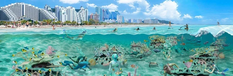 Home l Ocean Rescue Alliance International