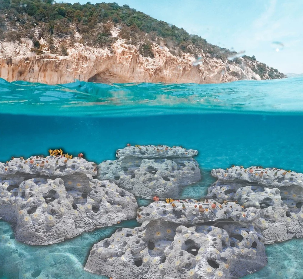 Celebratory & Memorial Reefs — Ocean Rescue Alliance International