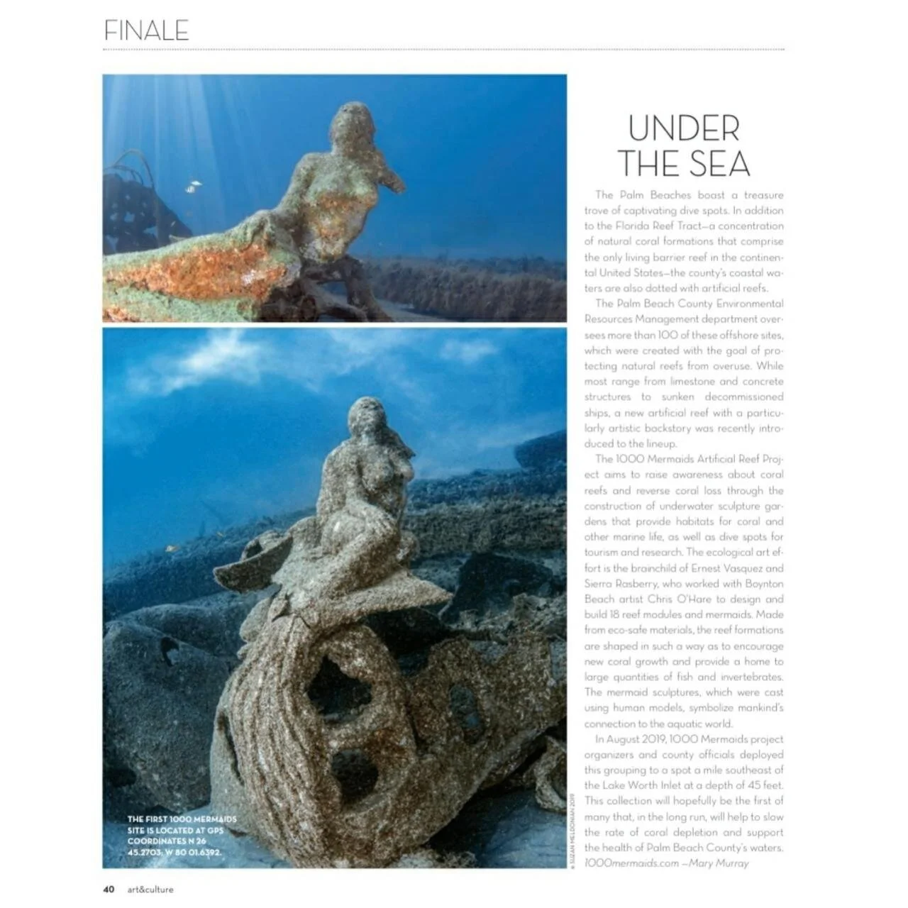 In The News... — Ocean Rescue Alliance International