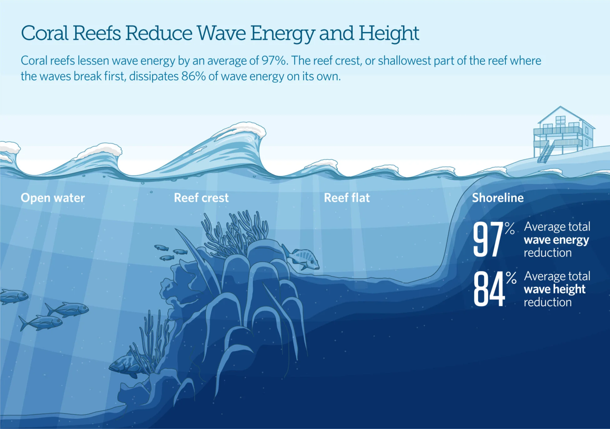 Mission — Ocean Rescue Alliance International