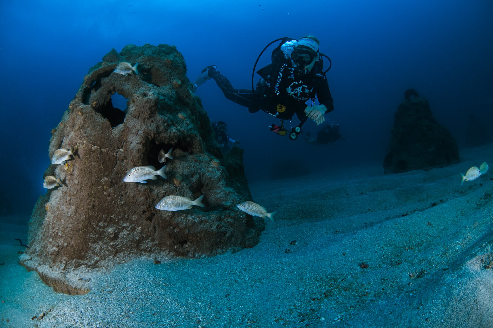 The Future of Artificial Reefs: Sustainable Solutions for Marine ...