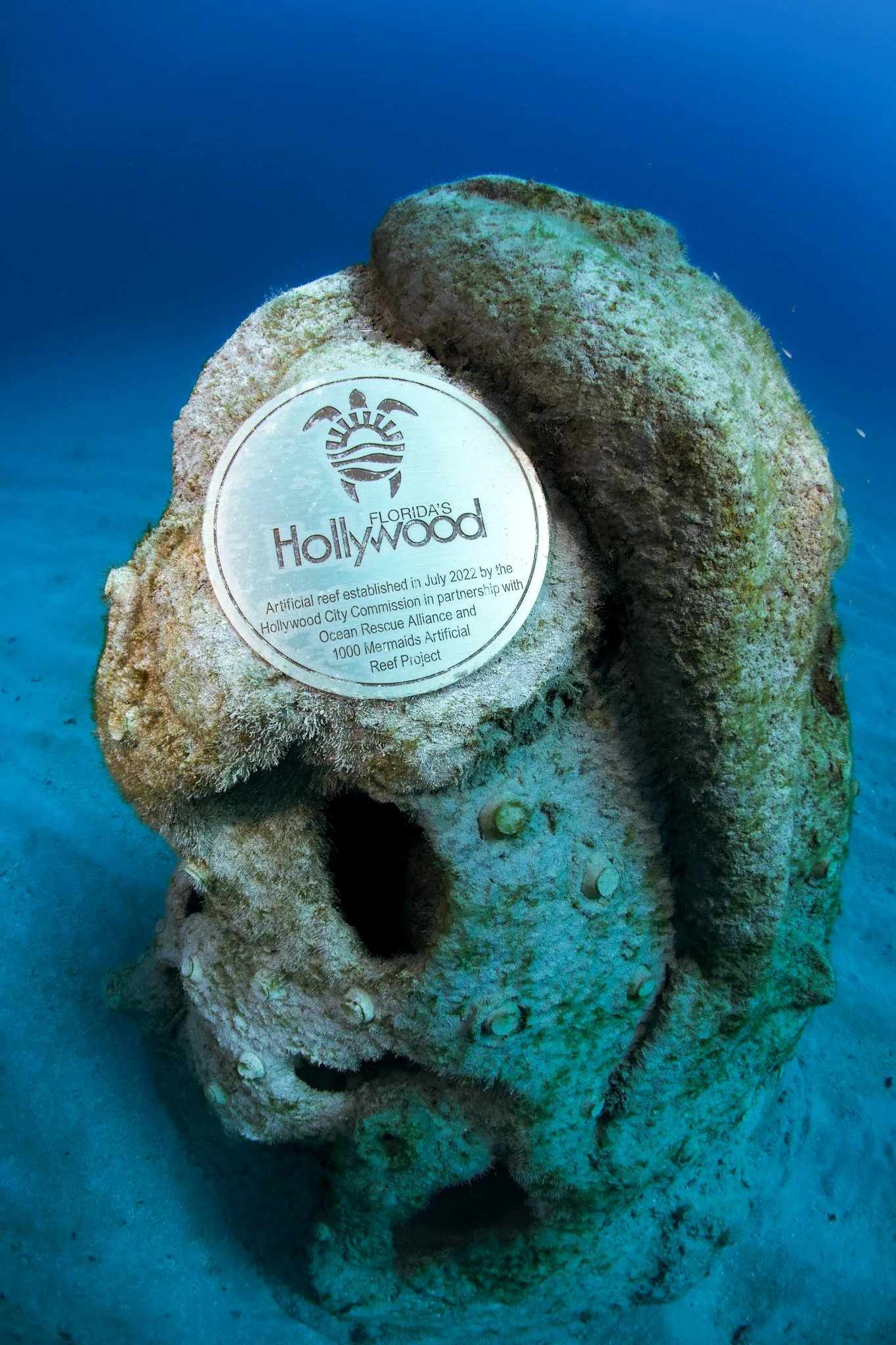 Projects and Locations — Ocean Rescue Alliance