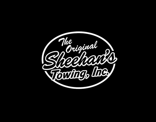 Guardians of the Reef — Ocean Rescue Alliance International