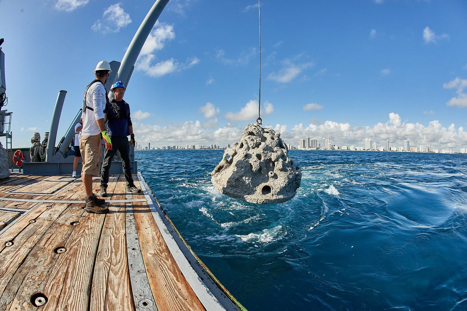 Join the Alliance | Support Ocean Conservation Today — Ocean Rescue ...