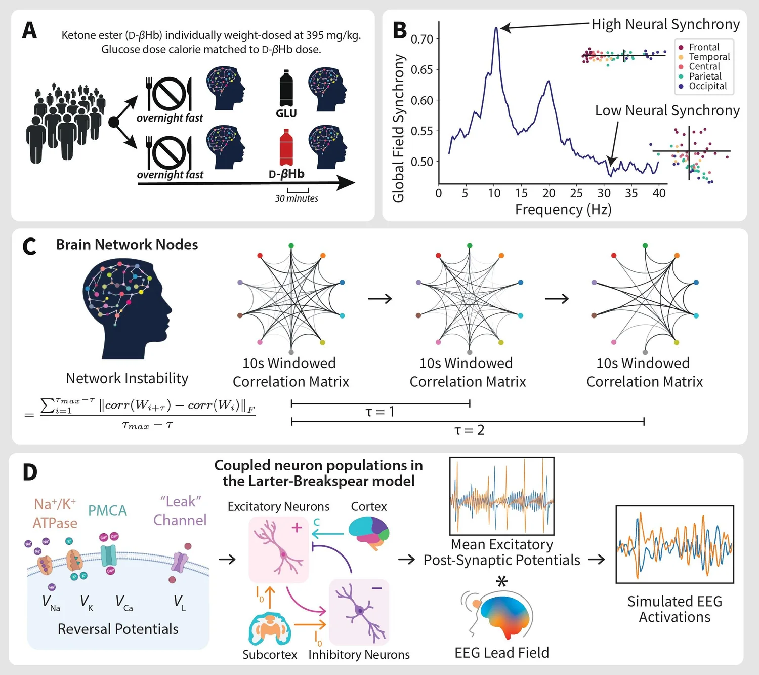 Protecting The Aging Brain Eeg Dataset — Lcneuro