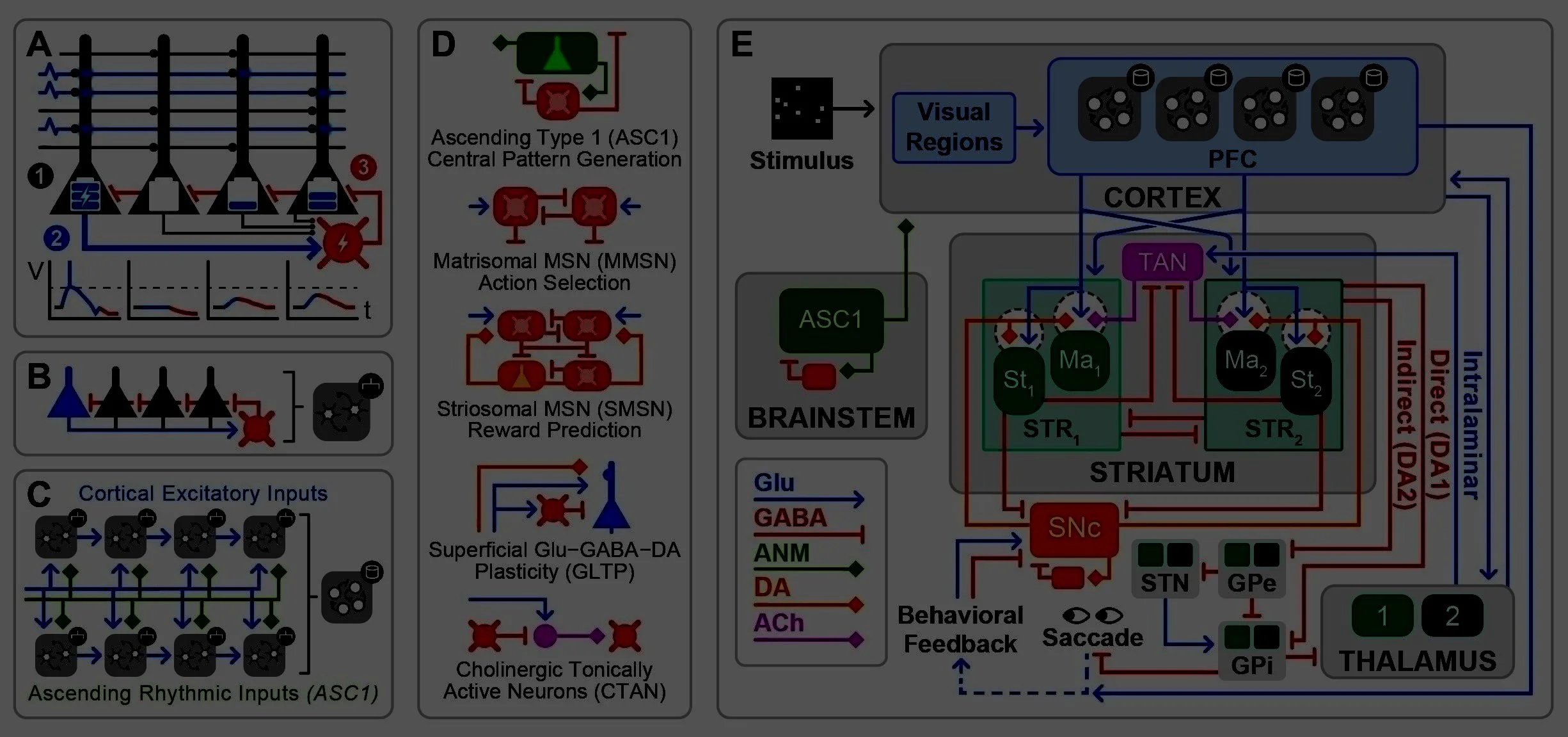 Projects — LCNeuro