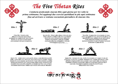 The 5 Tibetans — Optimyze