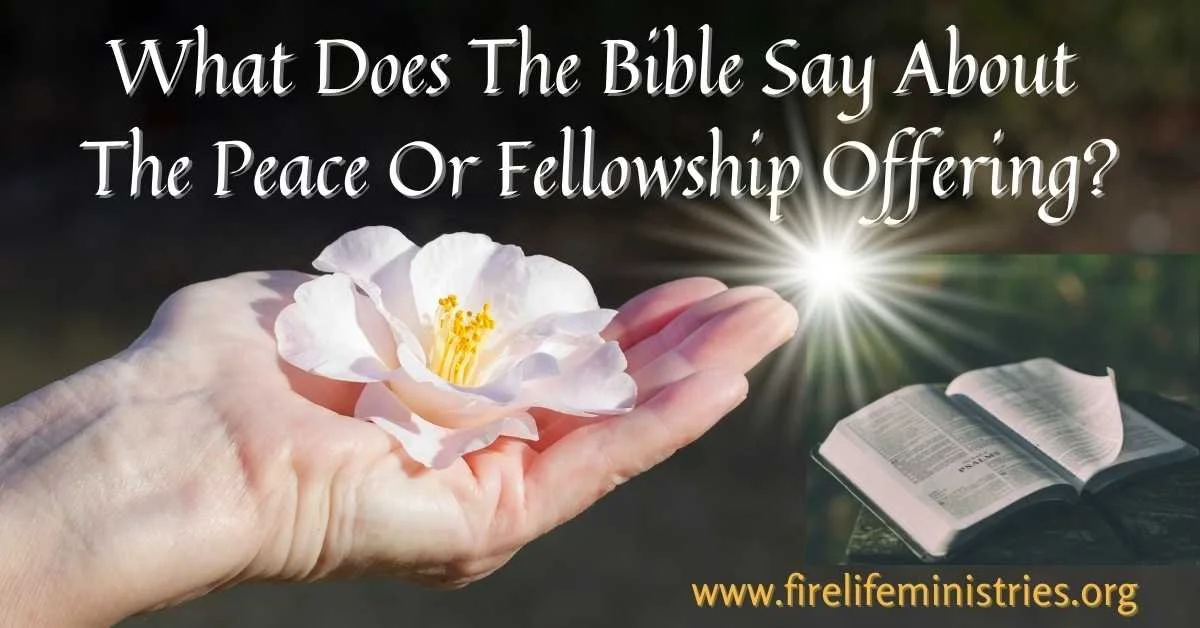 What Does The Bible Say About The Peace Or Fellowship Offering? — How ...
