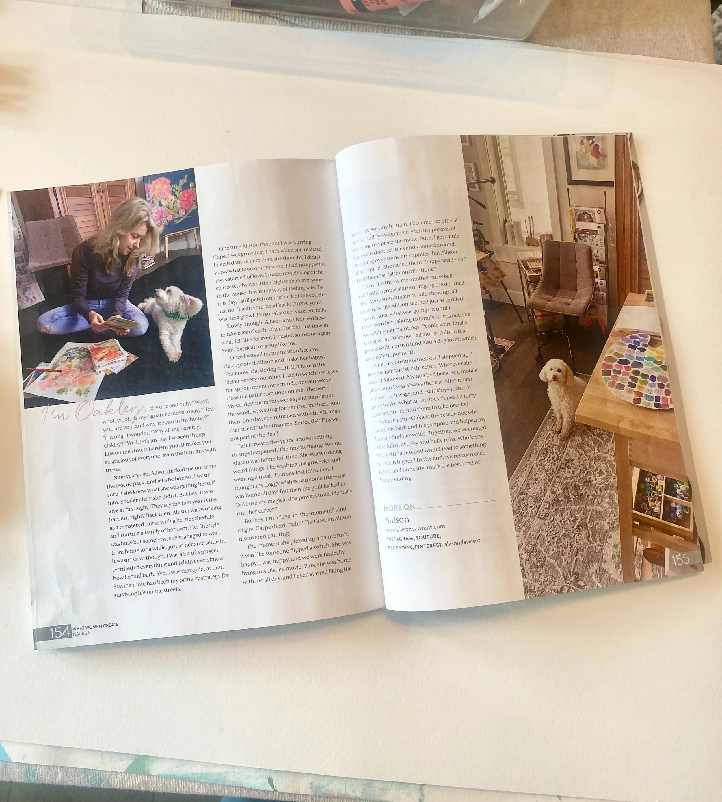 Allison Dawrant | Artist