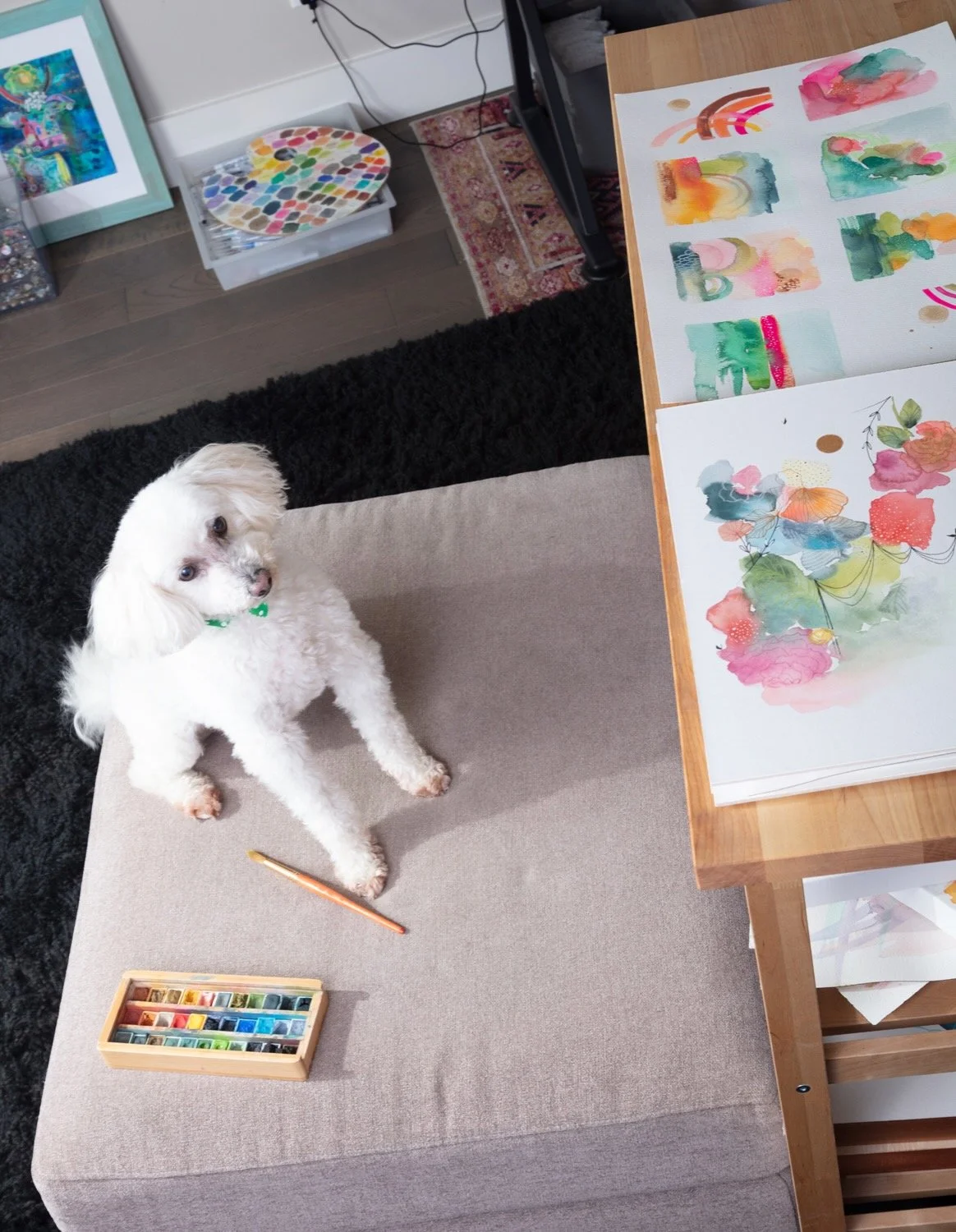 Allison Dawrant | Artist