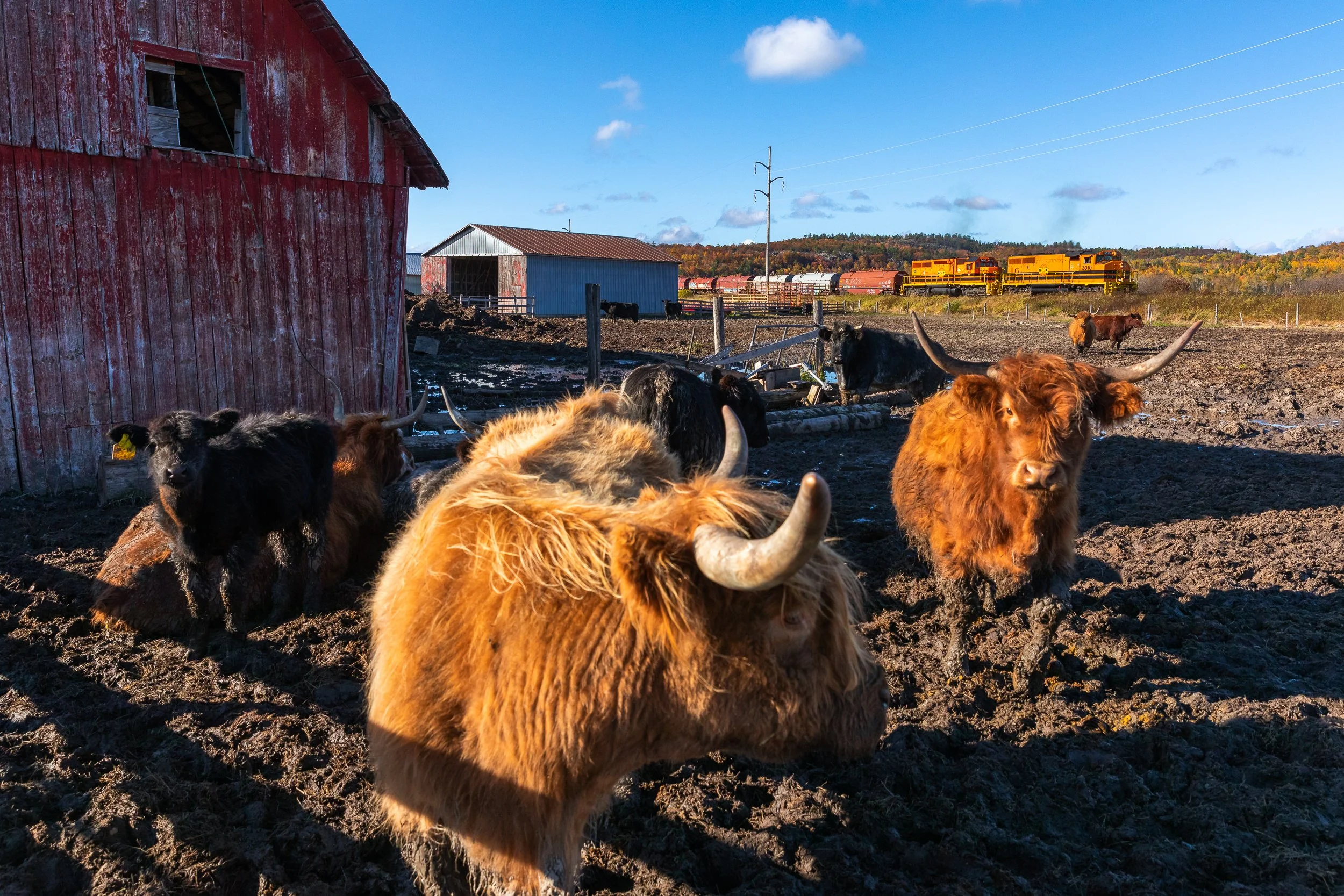 railroad landscape — Railroad Photography by Ryan Gaynor