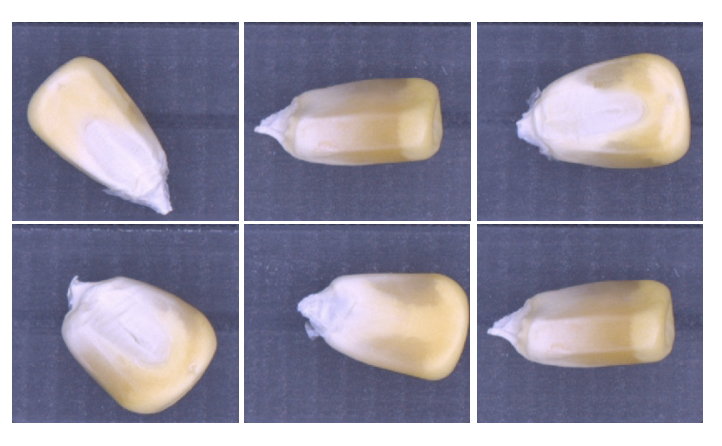 QualySense Inspection and Sorting