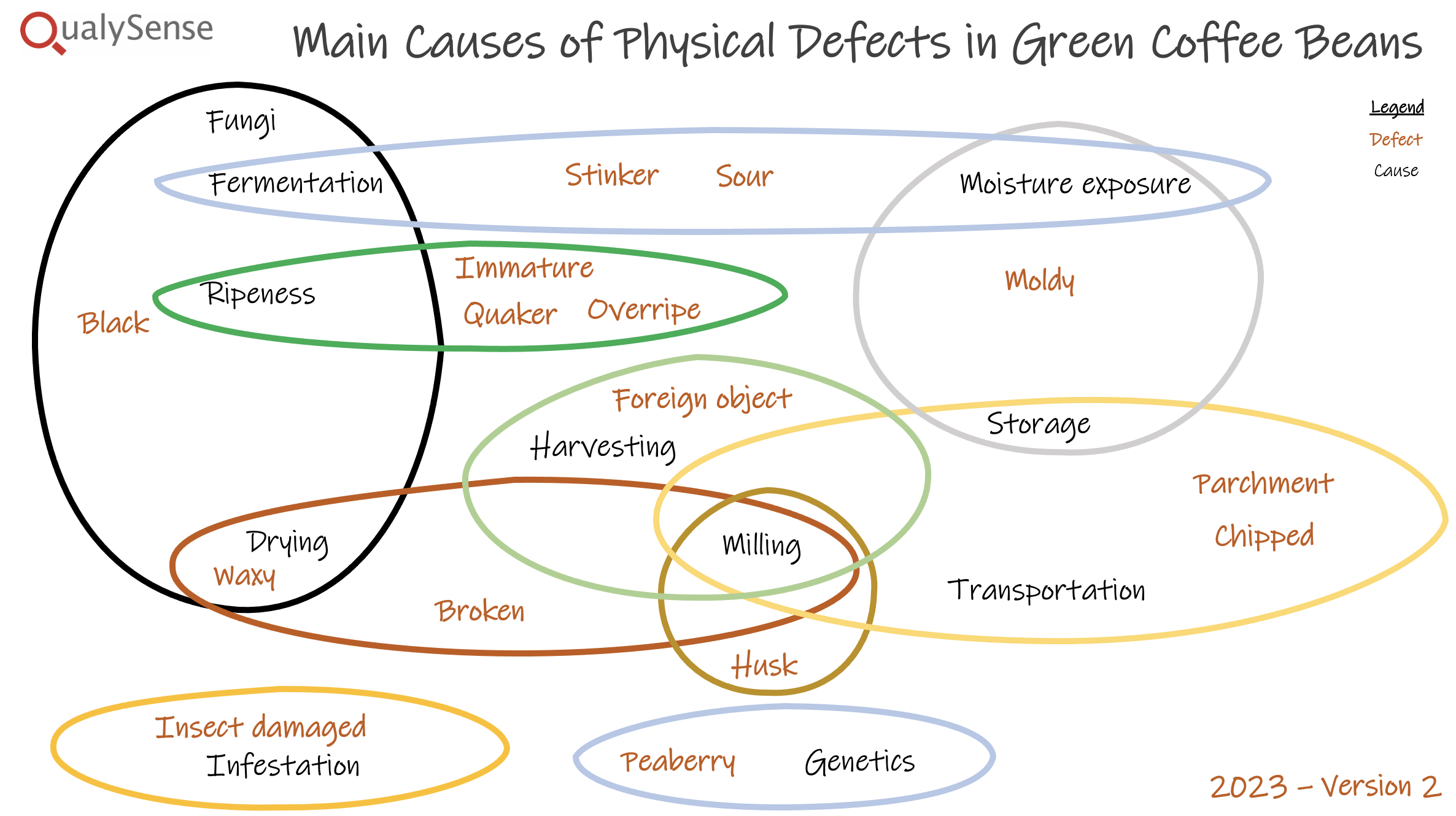 Causes of Green Coffee Defects — QualySense