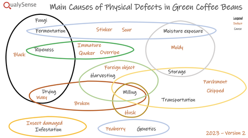 Causes of Green Coffee Defects — QualySense