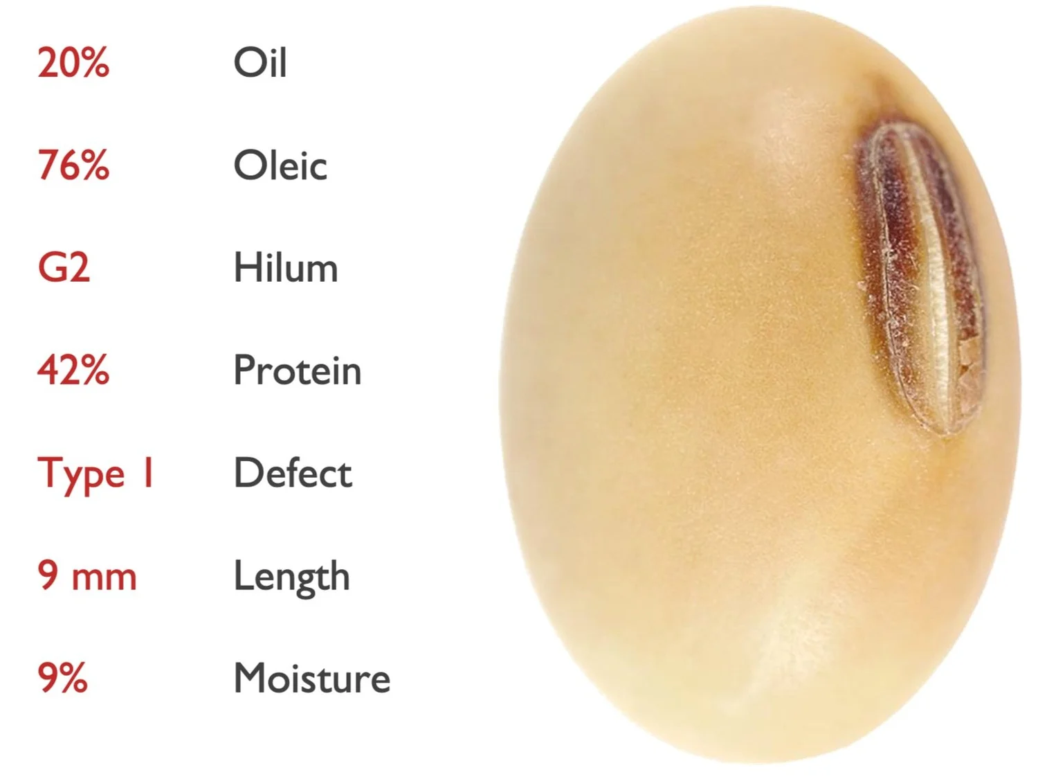 QualySense Inspection and Sorting