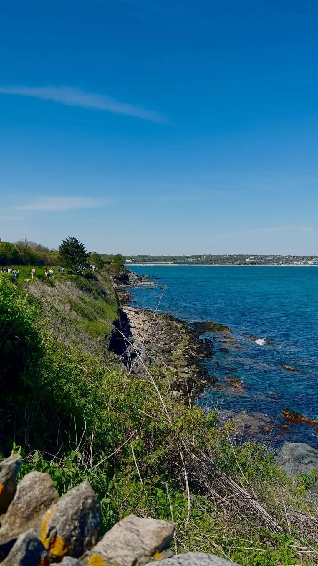What Is Dry Brushing and Why You Should Be Doing It — NICOLE TOLAND