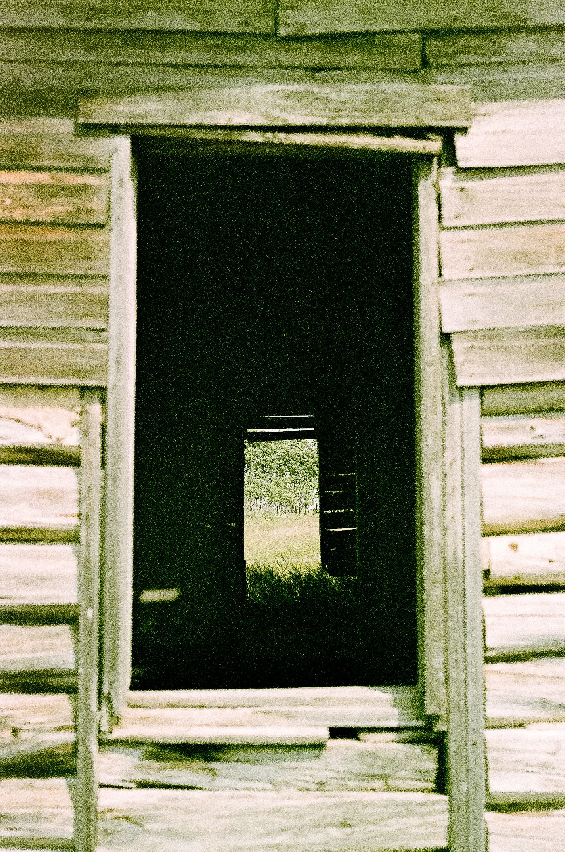 Saskatchewan Summer On Film — NICOLE TOLAND