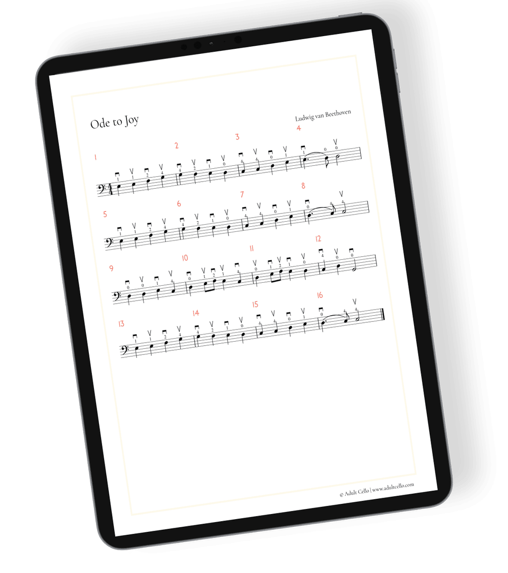 It's Never Too Late to Start Cello — ADULT CELLO