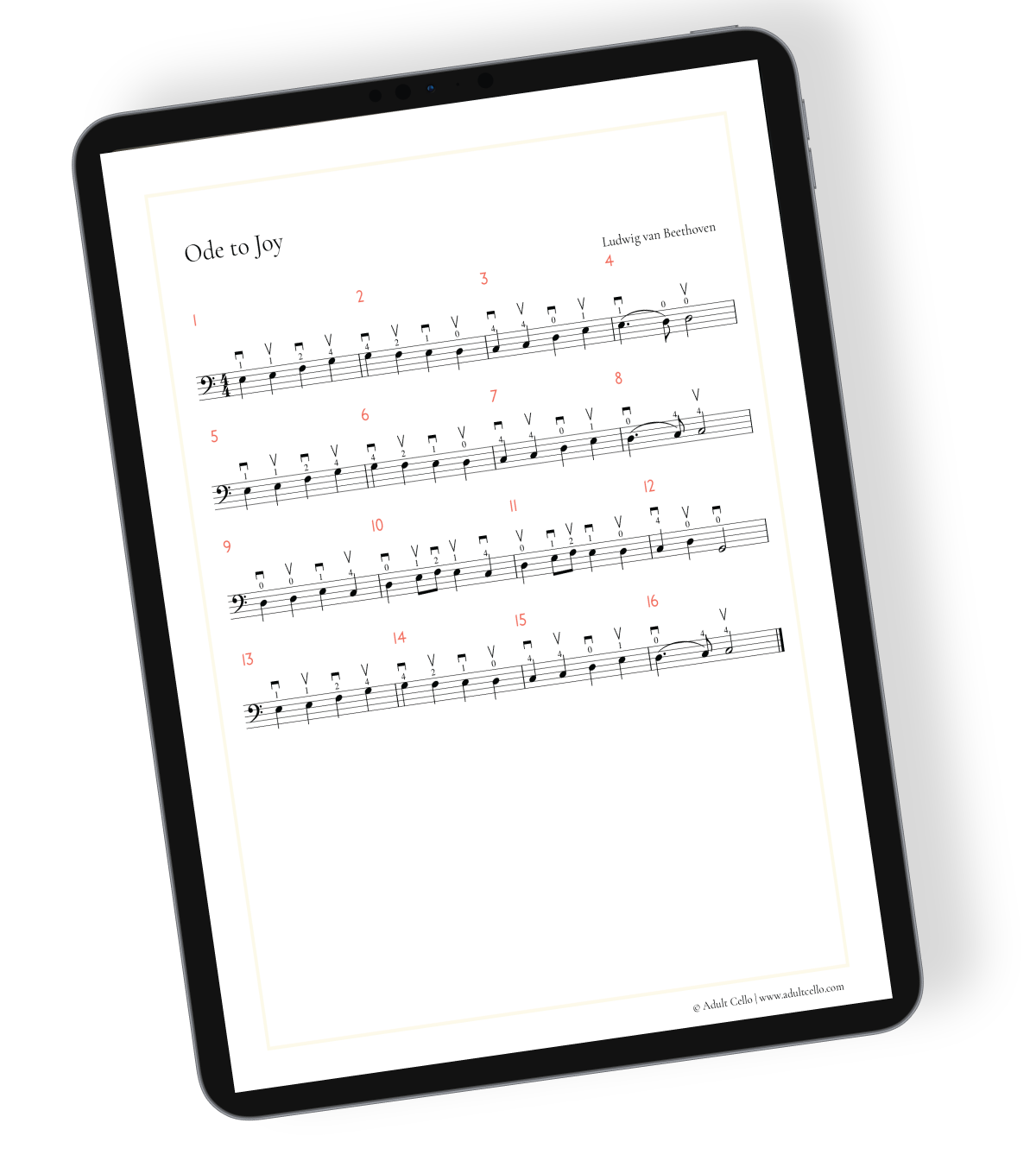 It's Never Too Late to Start Cello — ADULT CELLO