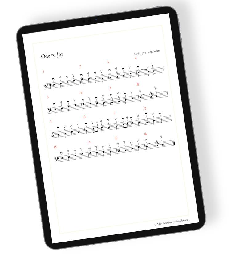 It's Never Too Late to Start Cello — ADULT CELLO