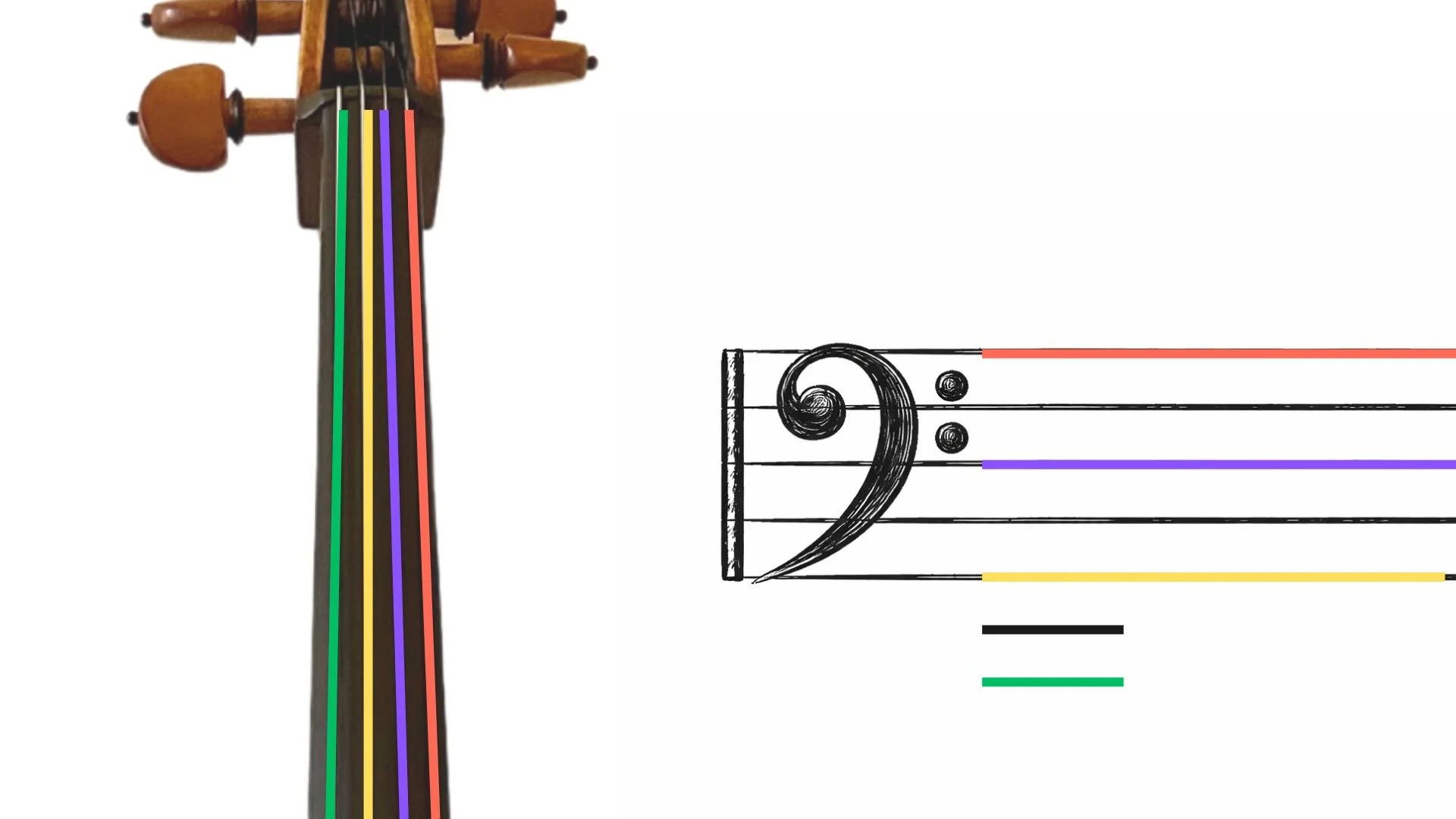 The Only Music Theory Adult Cello Beginners Actually Need to Get ...