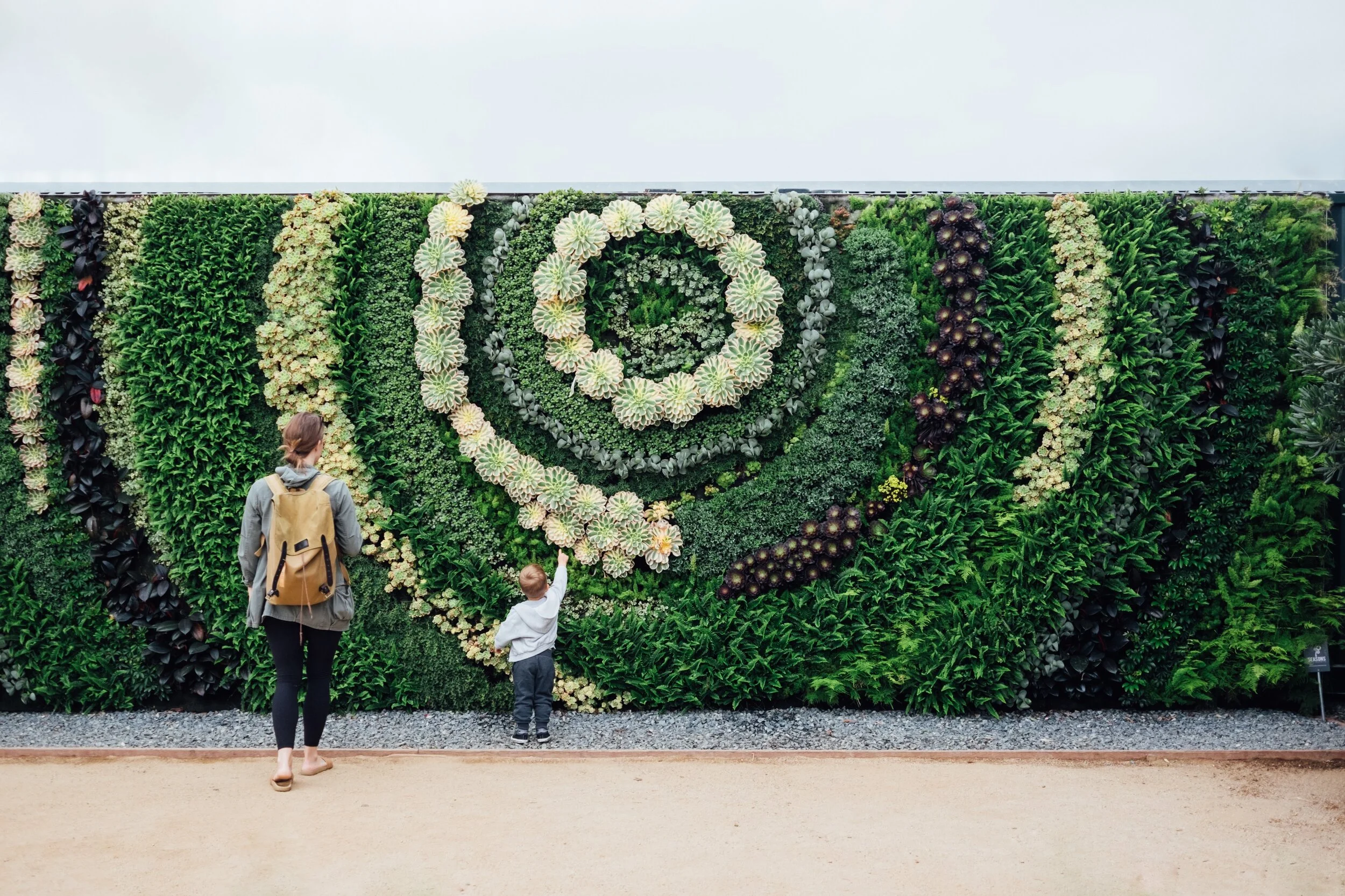 Custom Green Walls and Plantscapes - Vert Plantworks