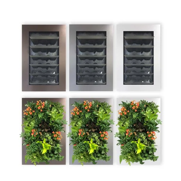 Shop Green Wall Planter Systems, Plants and Planters — Vert Plantworks