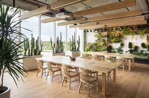 How Much Does Office Plant Service Cost in Phoenix? (2026 Pricing Guide ...