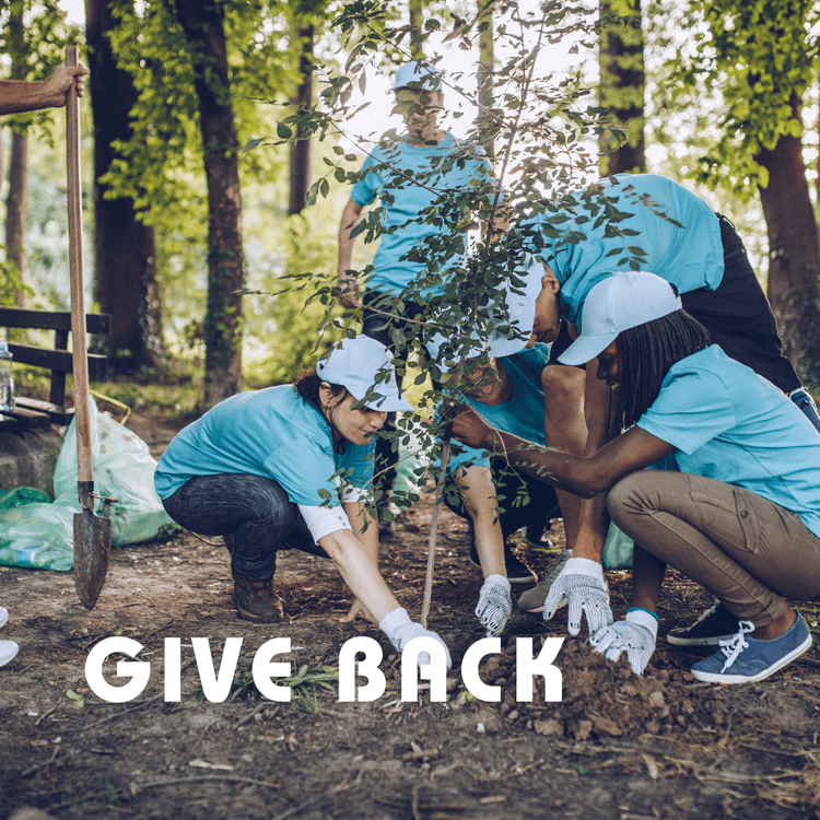 How To Make Every Day Earth Day — Vert Plantworks