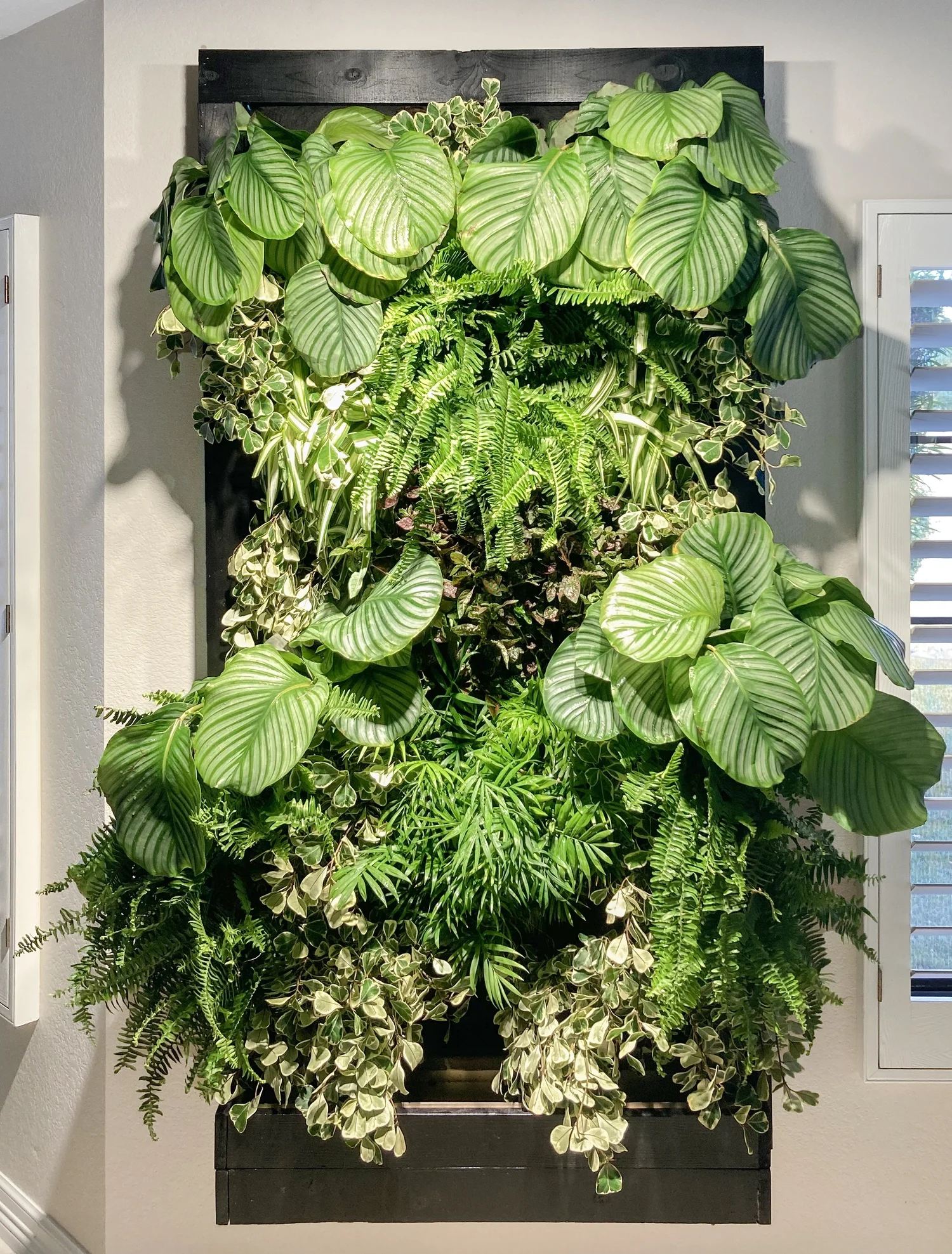 Living Green Wall Project Gallery — Vert Plantworks