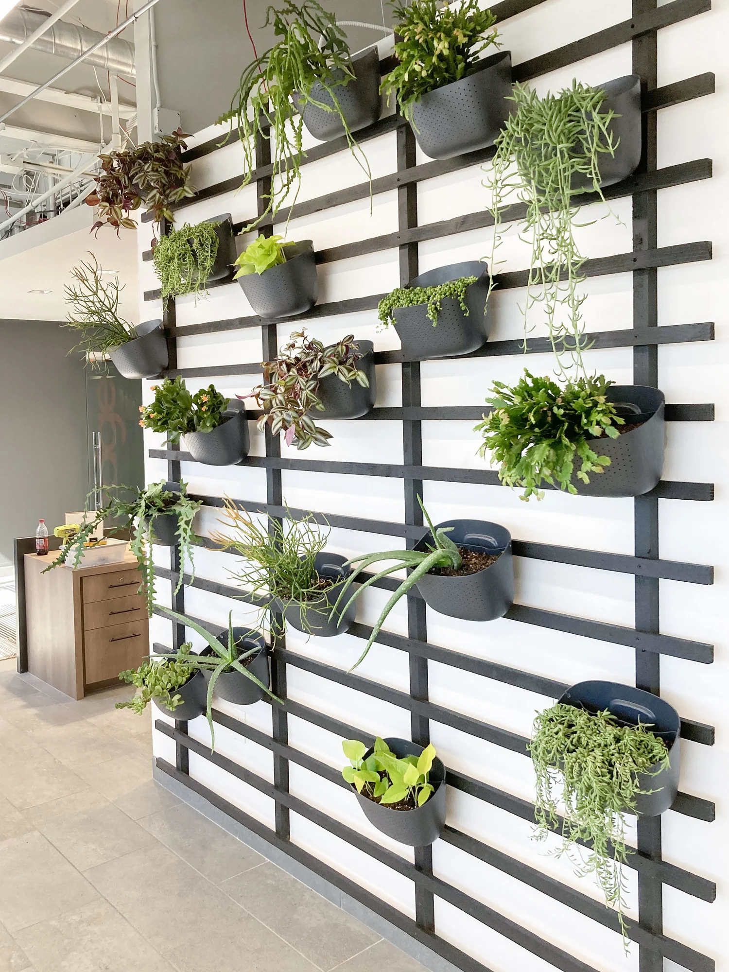 Living Green Wall Project Gallery — Vert Plantworks