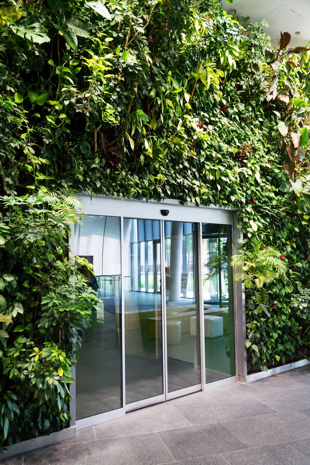 Live Plant Green Walls — Vert Plantworks