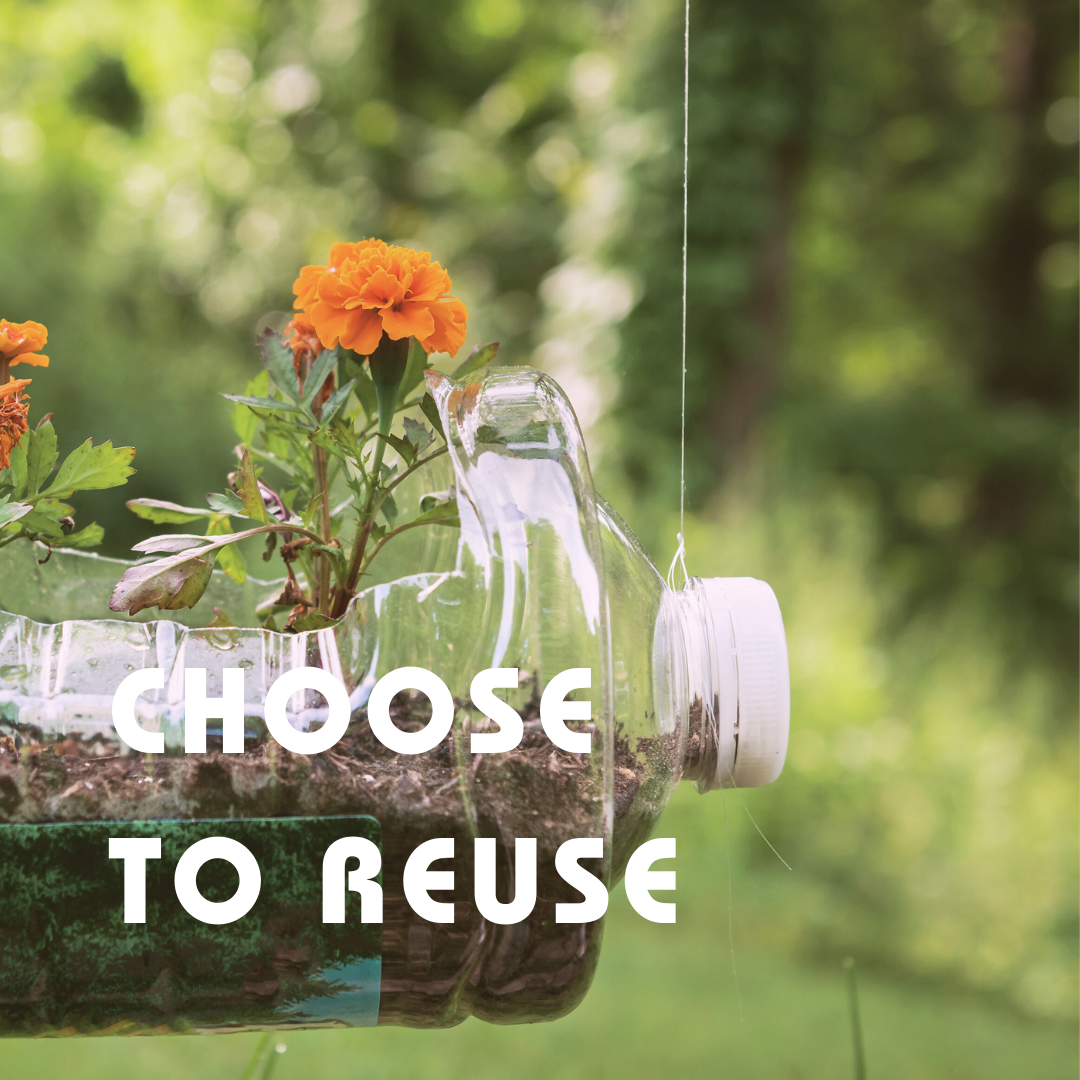 How To Make Every Day Earth Day — Vert Plantworks