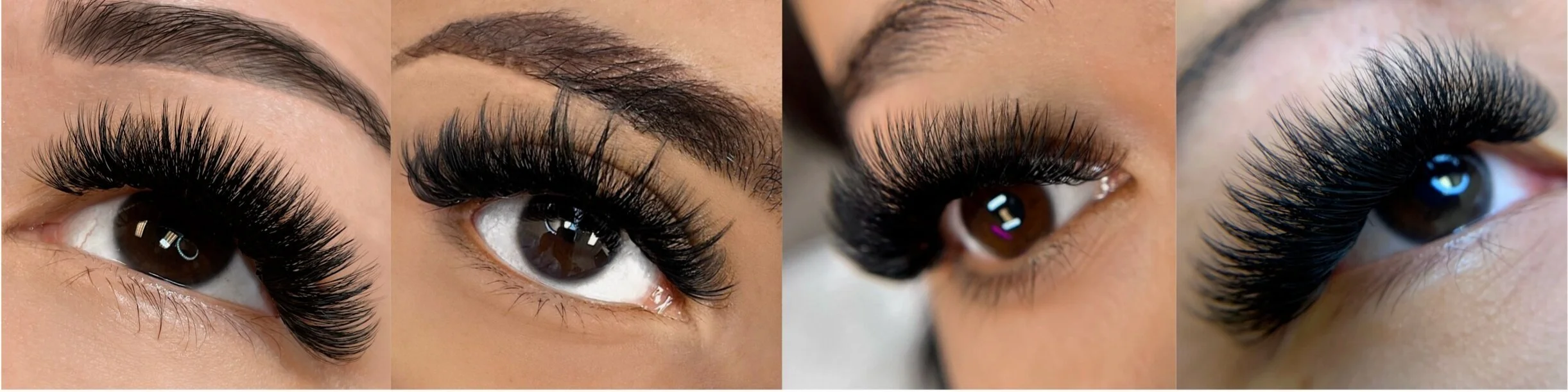 Classic and Introduction to Volume Lash Training — Wandaful Esthetics
