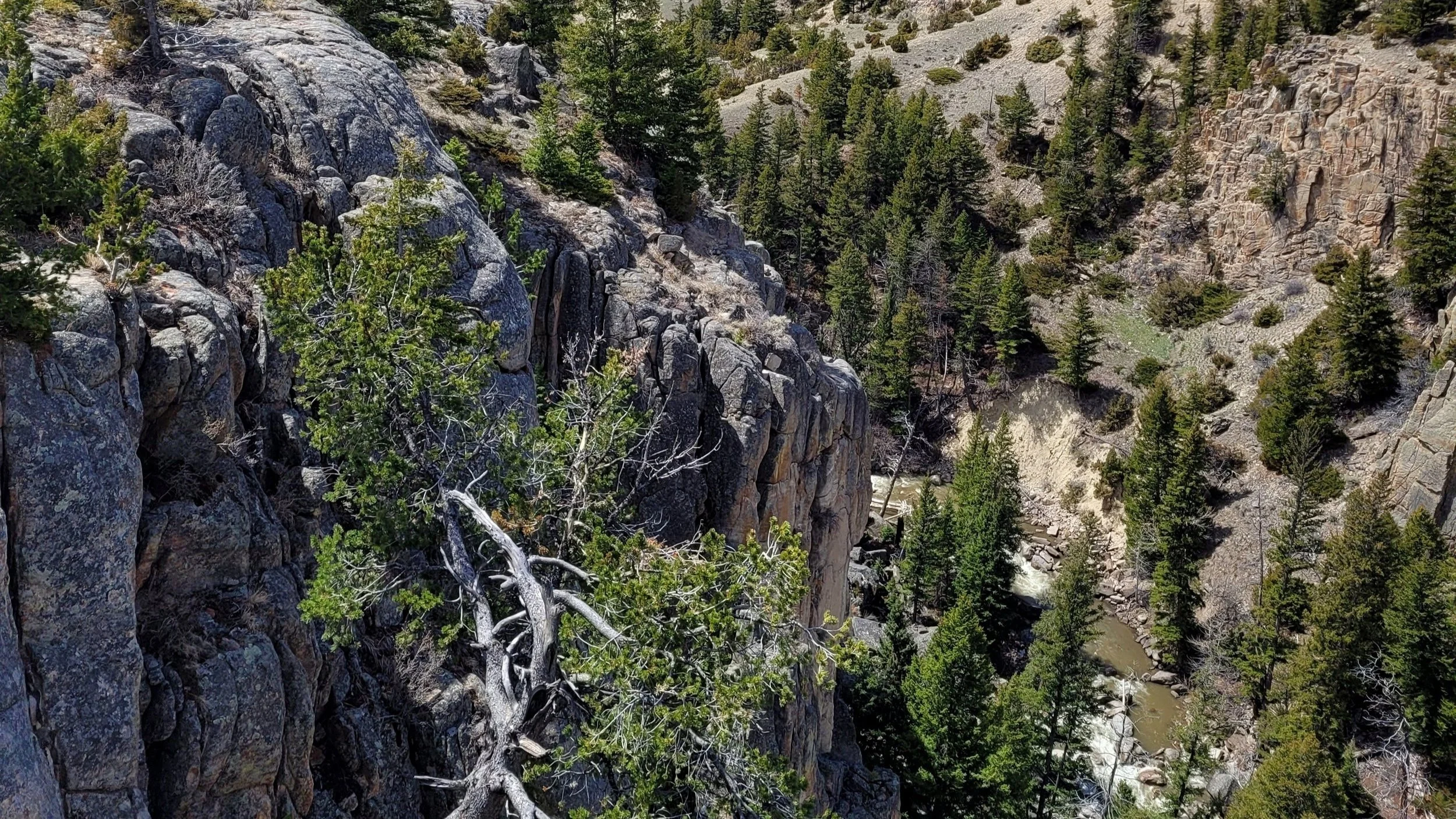 A Scenic Journey Through the Chief Joseph — Dirt Trail Junkies