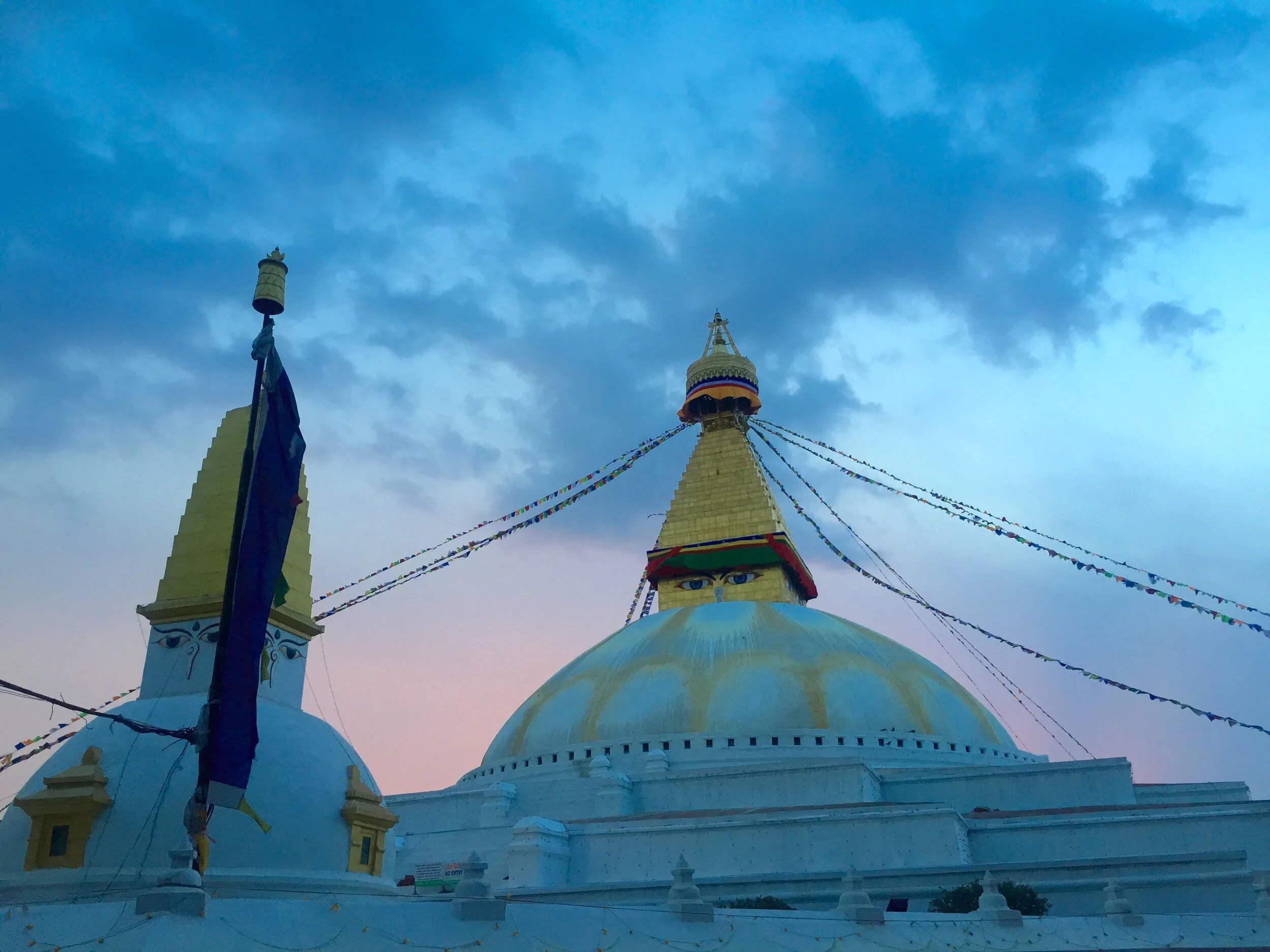 Shrīmālā | Tibetan Medicine, Buddhism & Astrology | London