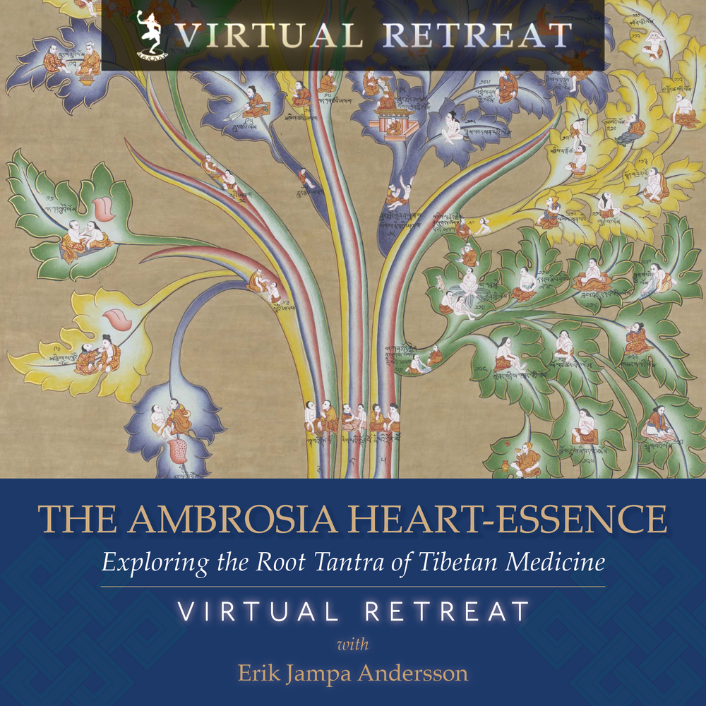 The Ambrosia Heart-Essence: Exploring the Root Tantra of Tibetan ...