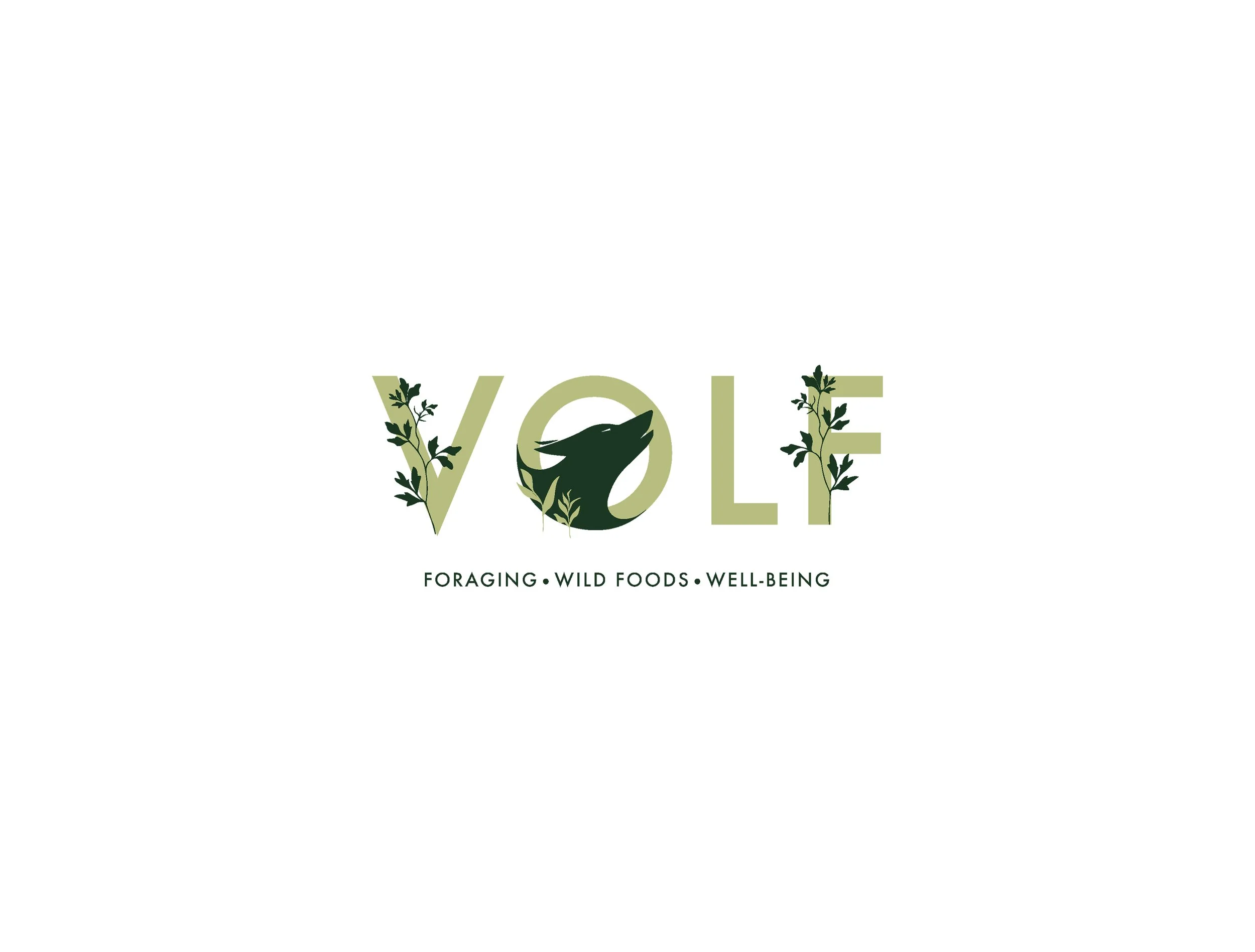 Branding, Graphic Design Case Study | VOLF | Blue Walnut Design
