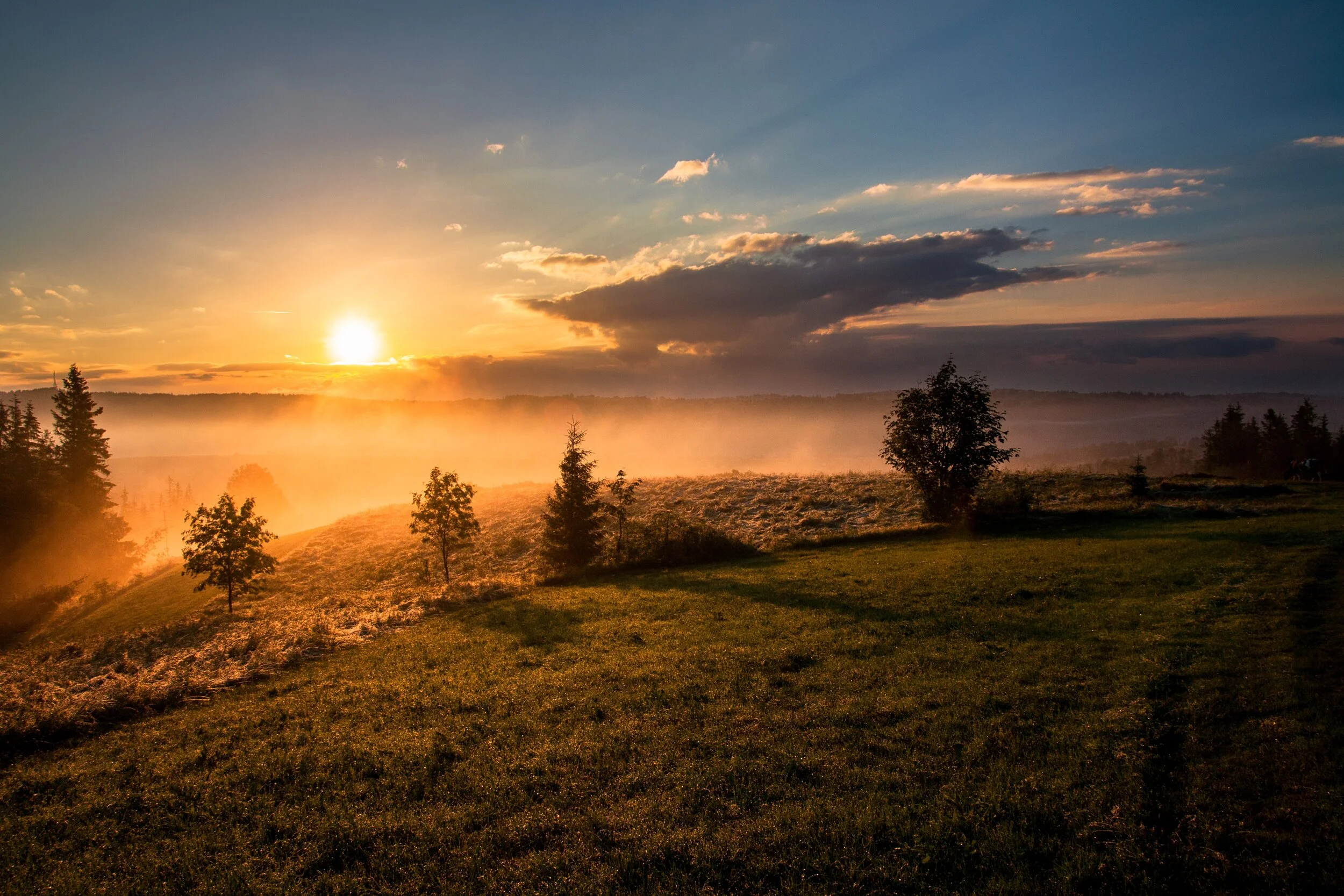 Exposure to Morning Sunlight Profoundly Affects Mood, Health, and ...