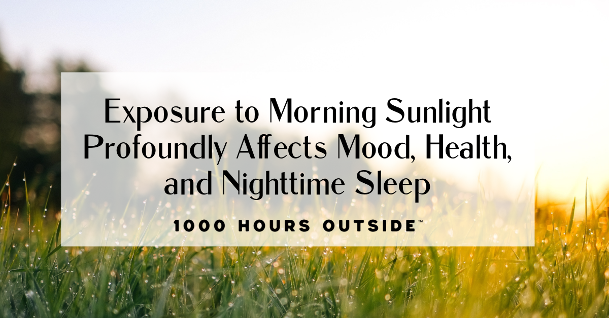 Exposure to Morning Sunlight Profoundly Affects Mood, Health, and ...