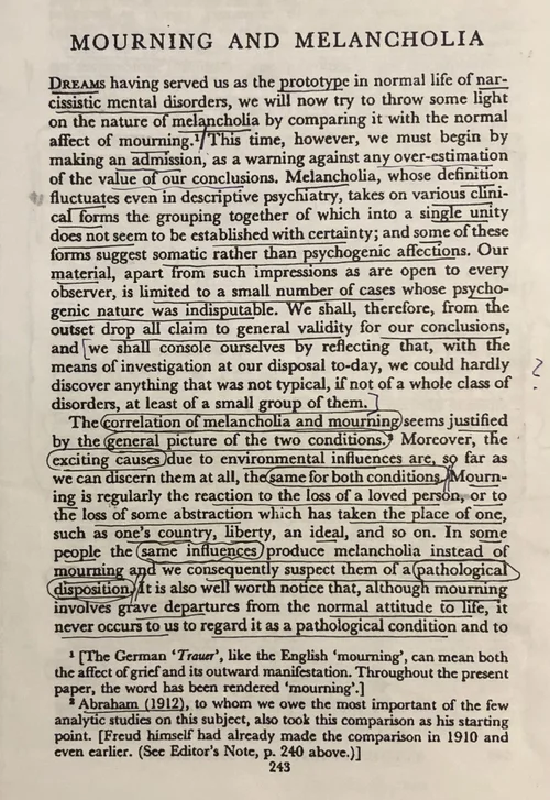 Freud, “Mourning and Melancholia” (1917) (V) — Michael Becker