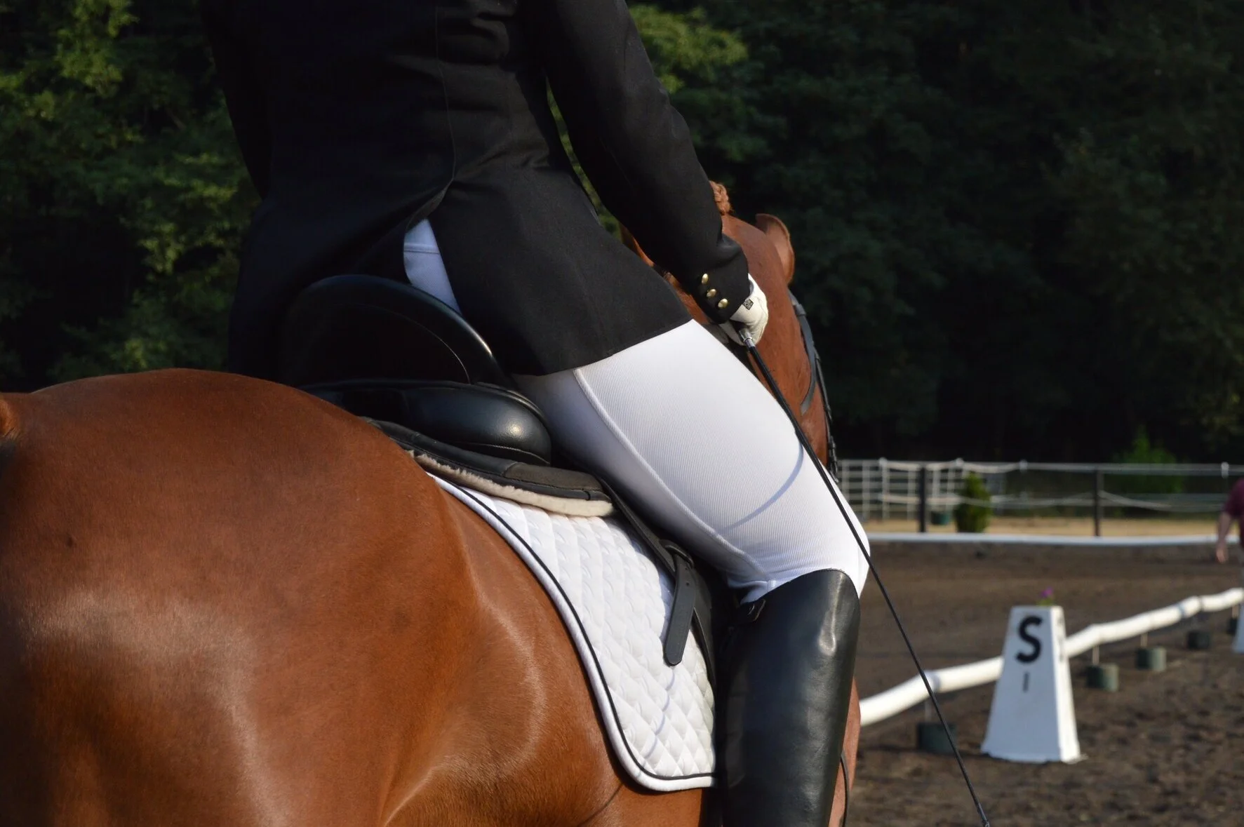 Stable Body Physical Therapy