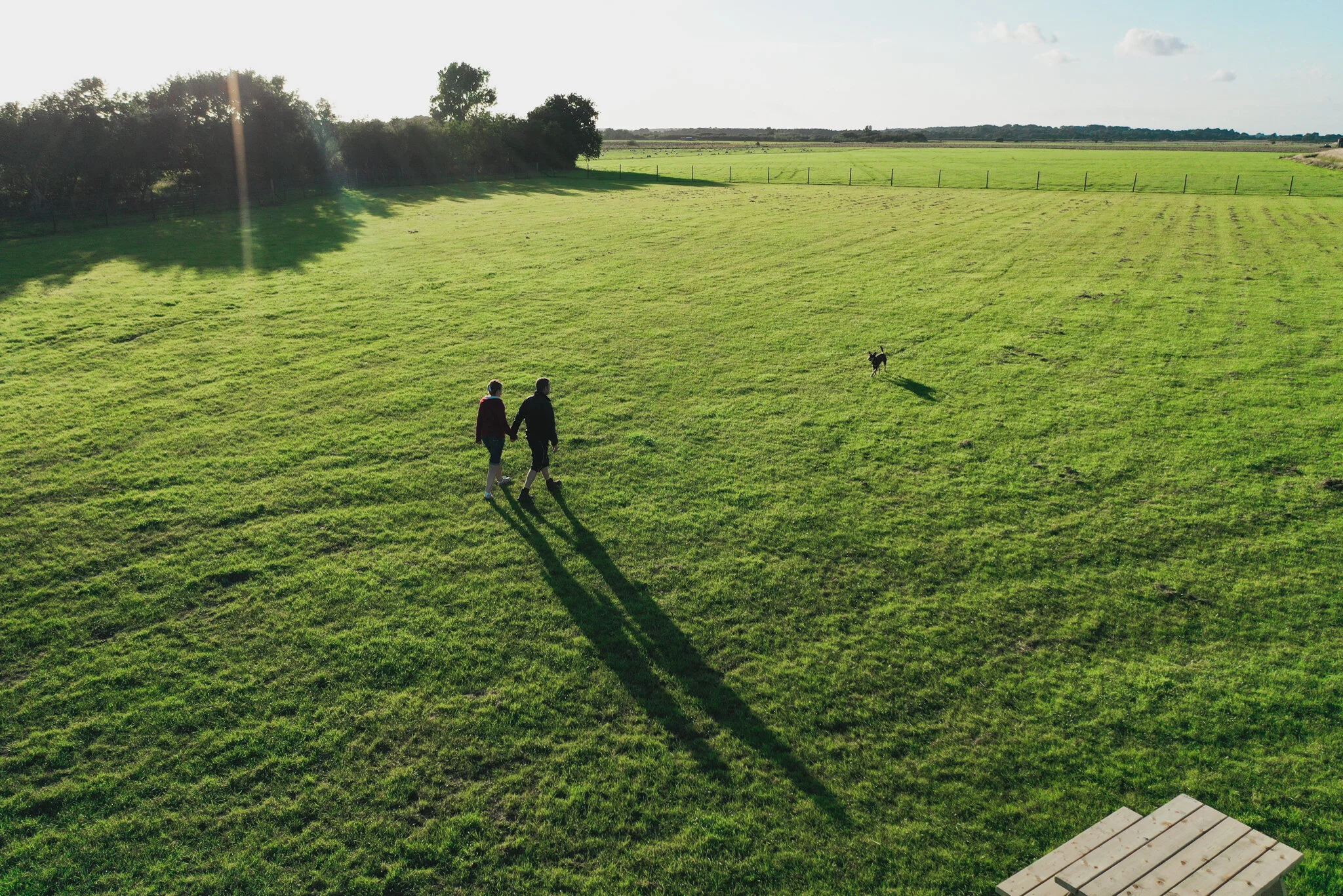 Booking | My Dog Meadow