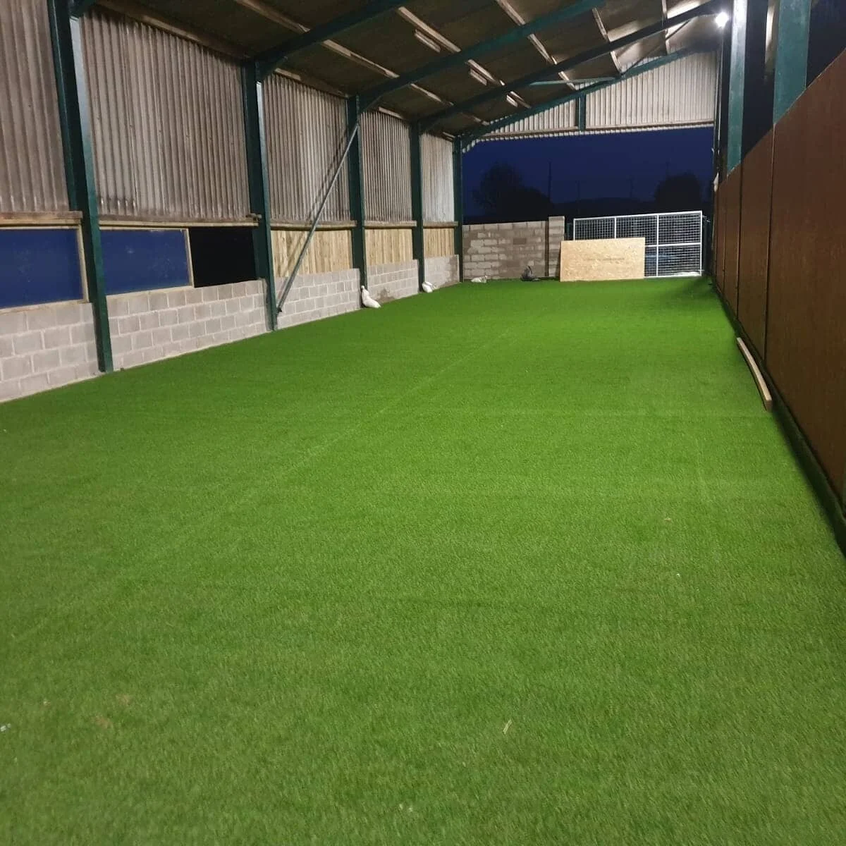 My Dog Barn in Ormskirk - My Dog Meadow