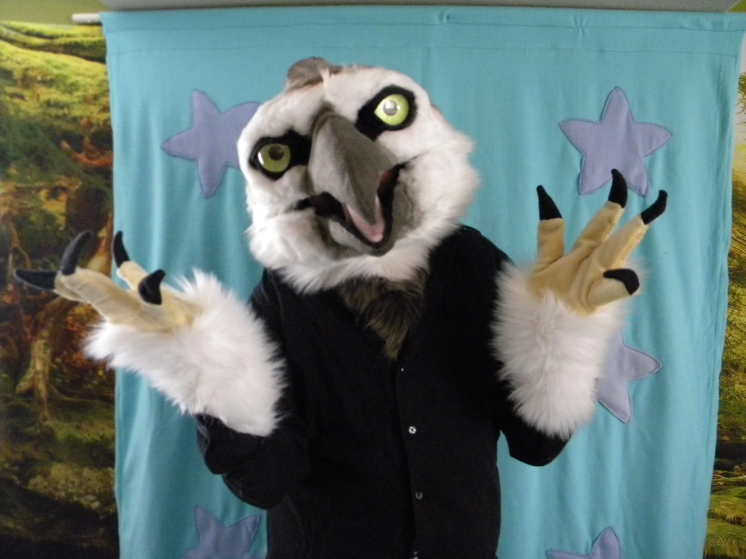 Harpy Eagle (2020) — Fantastically Fluffy