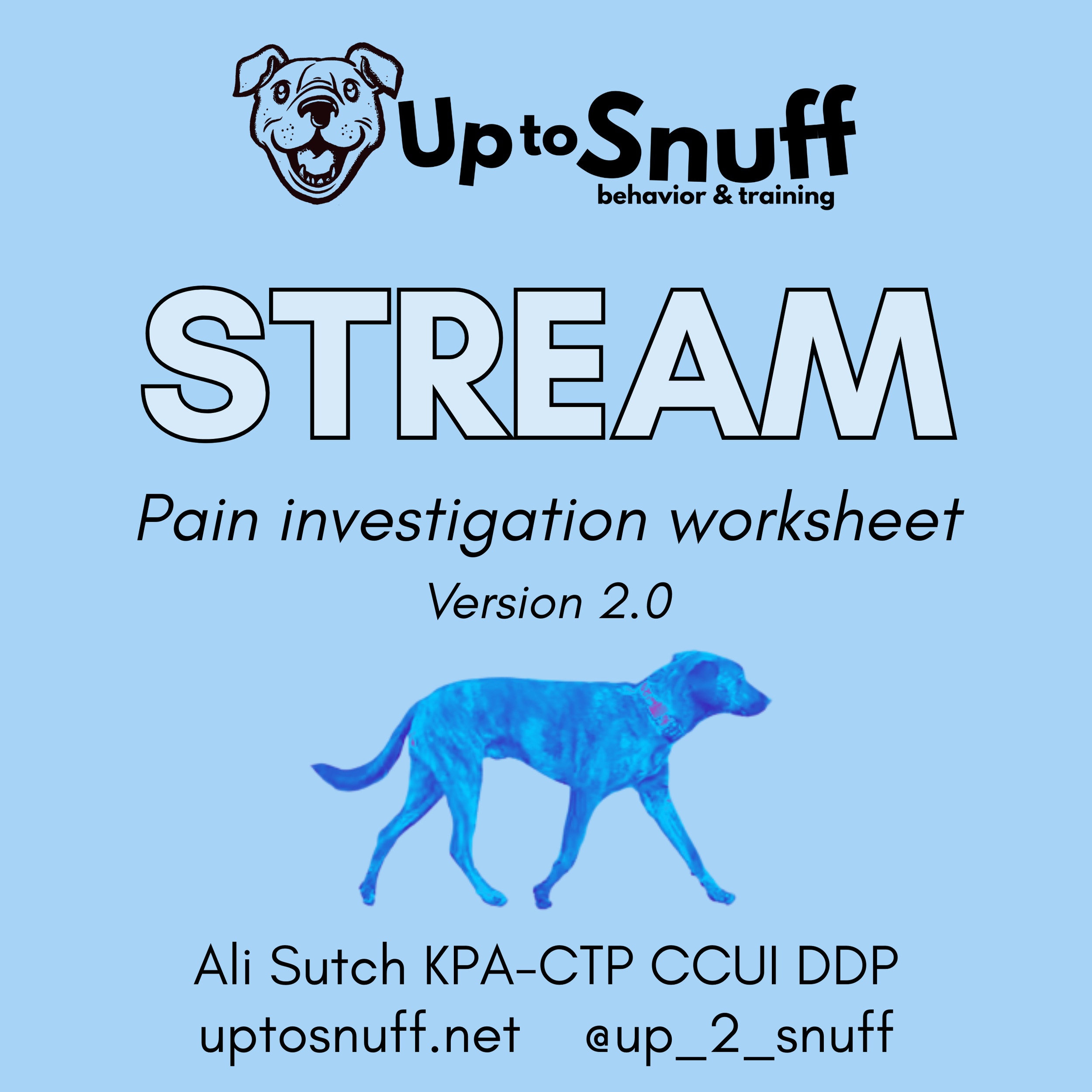 STREAM pain assessment guide 2.0 — Up to Snuff